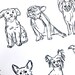 Small Breeds 100% Proceeds to Displaced Animals Dogs - Etsy