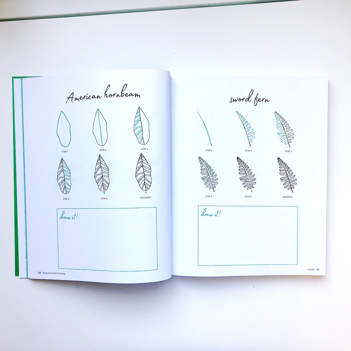 Botanical Line Drawing Paperback Book new Version Signed | Etsy