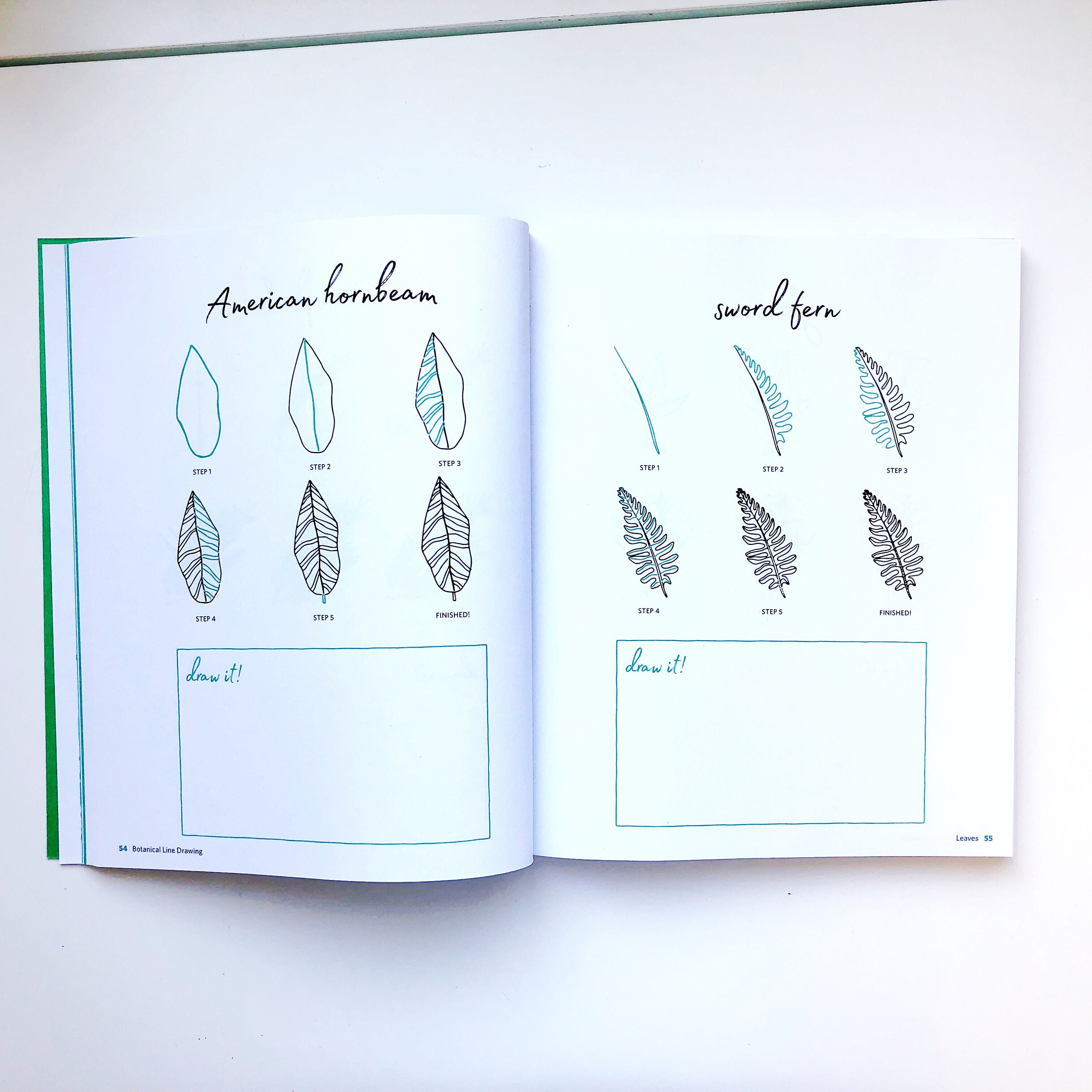 Botanical Line Drawing Paperback Book New Version Signed | Etsy