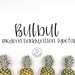 Bulbul A Modern Handwritten Typeface | Etsy