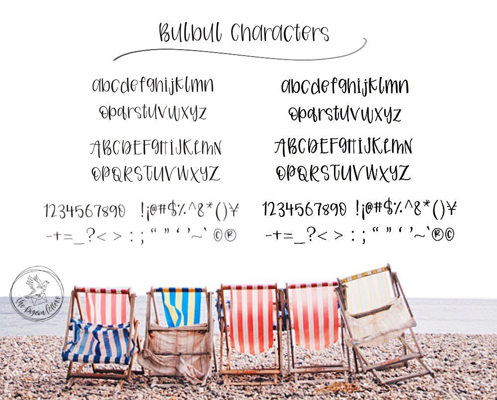 Bulbul A Modern Handwritten Typeface | Etsy