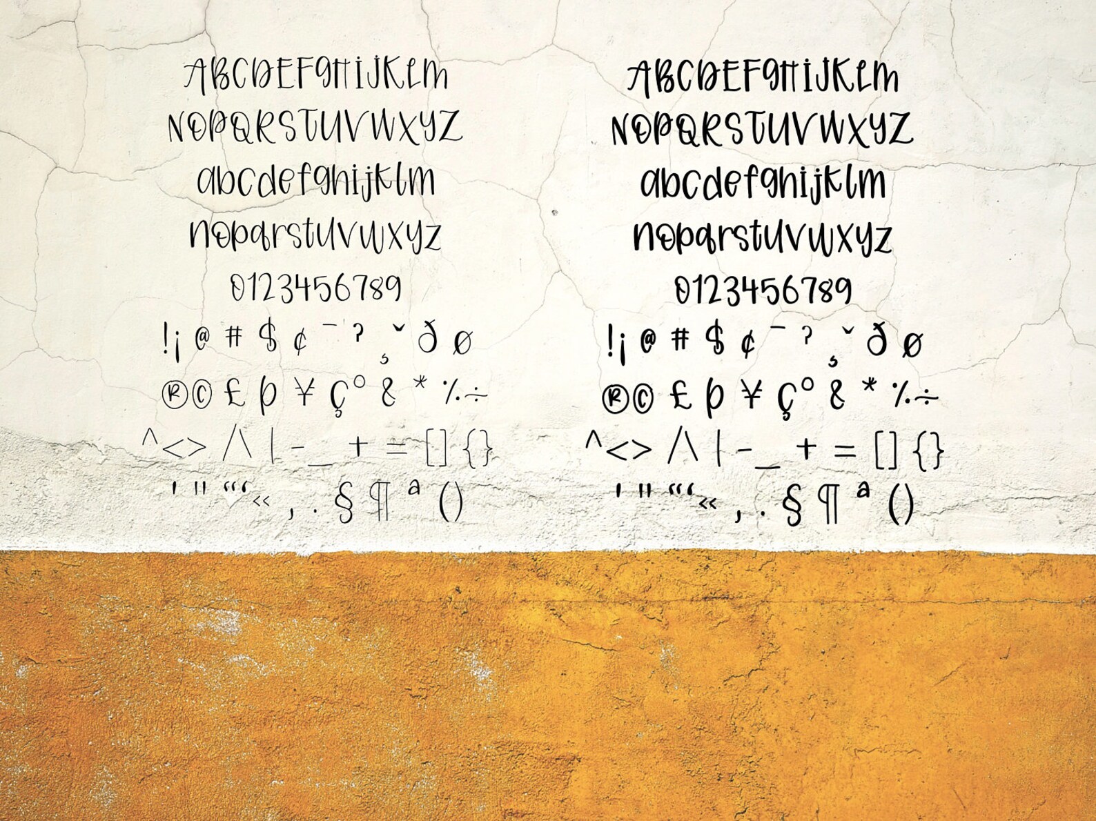 Bulbul A Modern Handwritten Typeface | Etsy