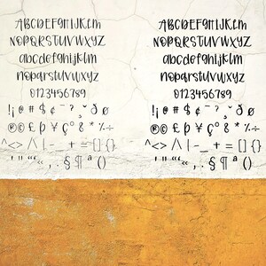 Bulbul A Modern Handwritten Typeface - Etsy