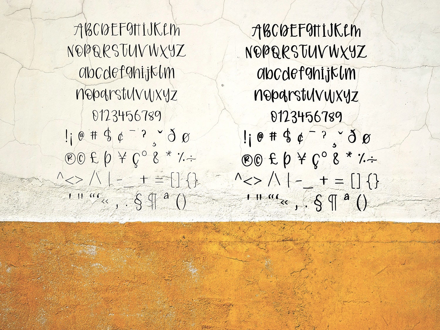 Bulbul A Modern Handwritten Typeface | Etsy