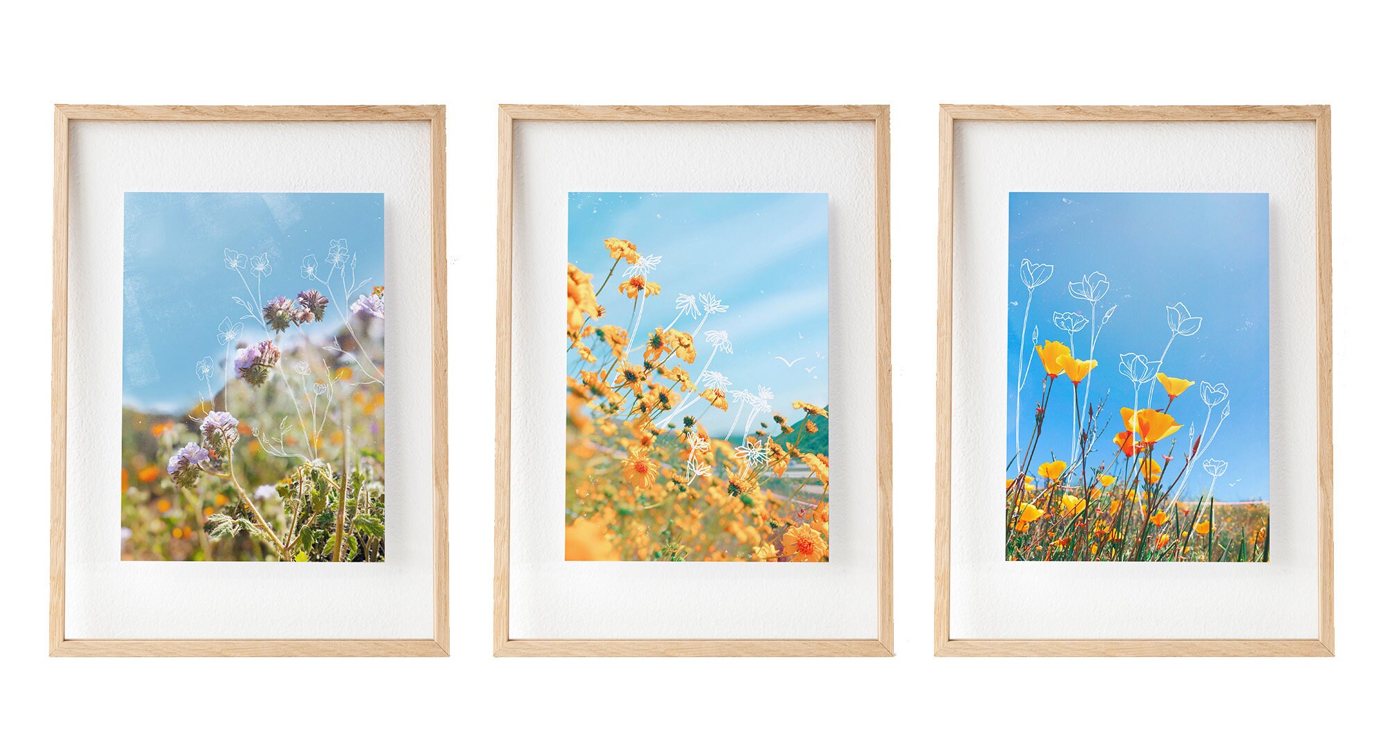 Yellow Dandelions Botanical Line Drawing Wildflower | Etsy