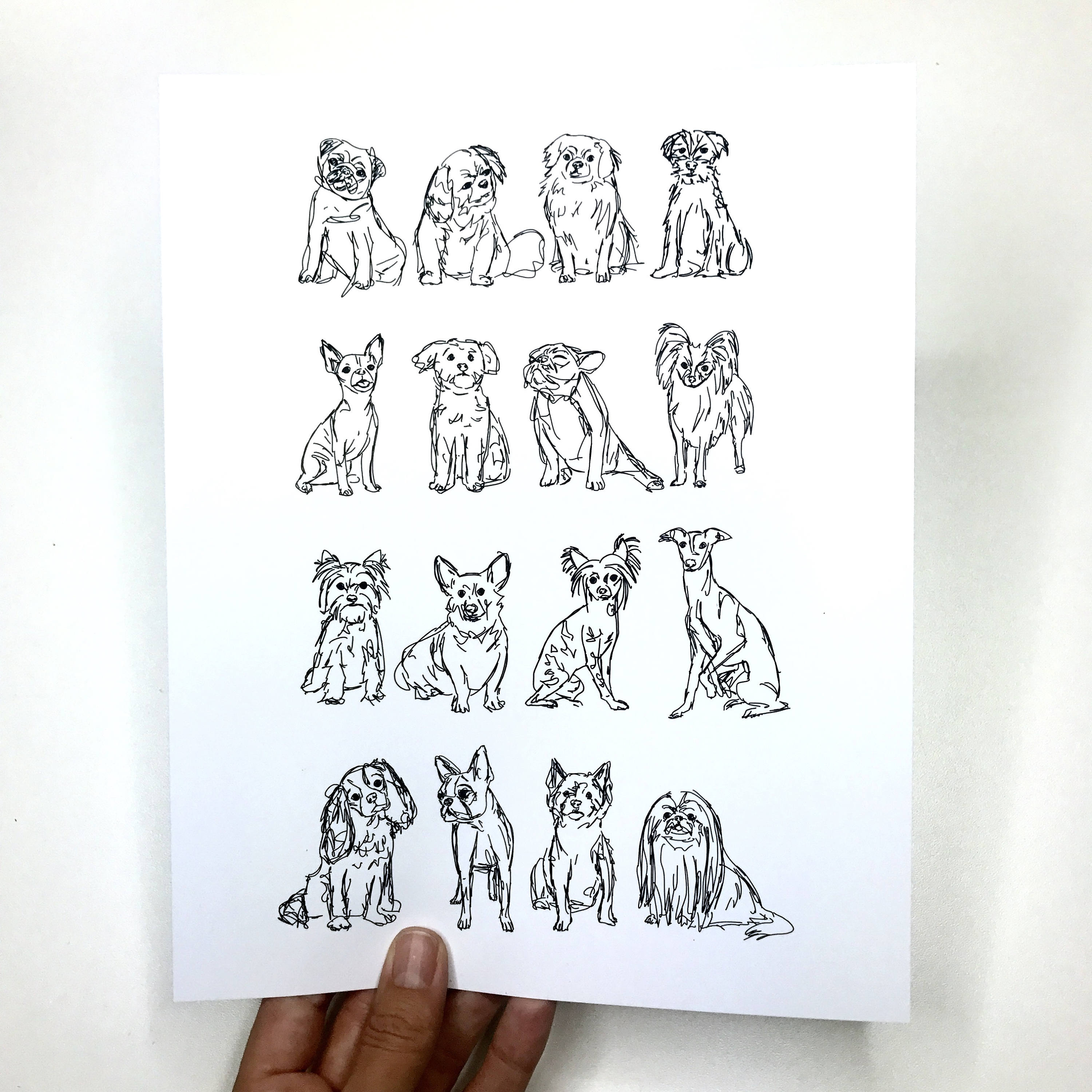 Small Breeds 100% Proceeds to Displaced Animals Dogs | Etsy