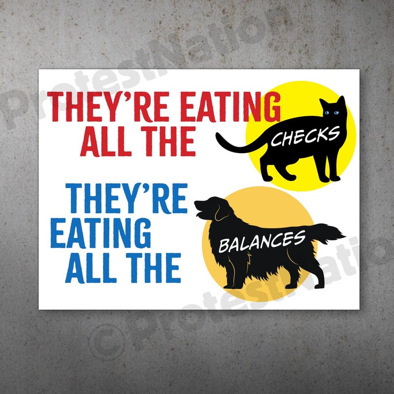 No Kings Protest Signs - Etsy