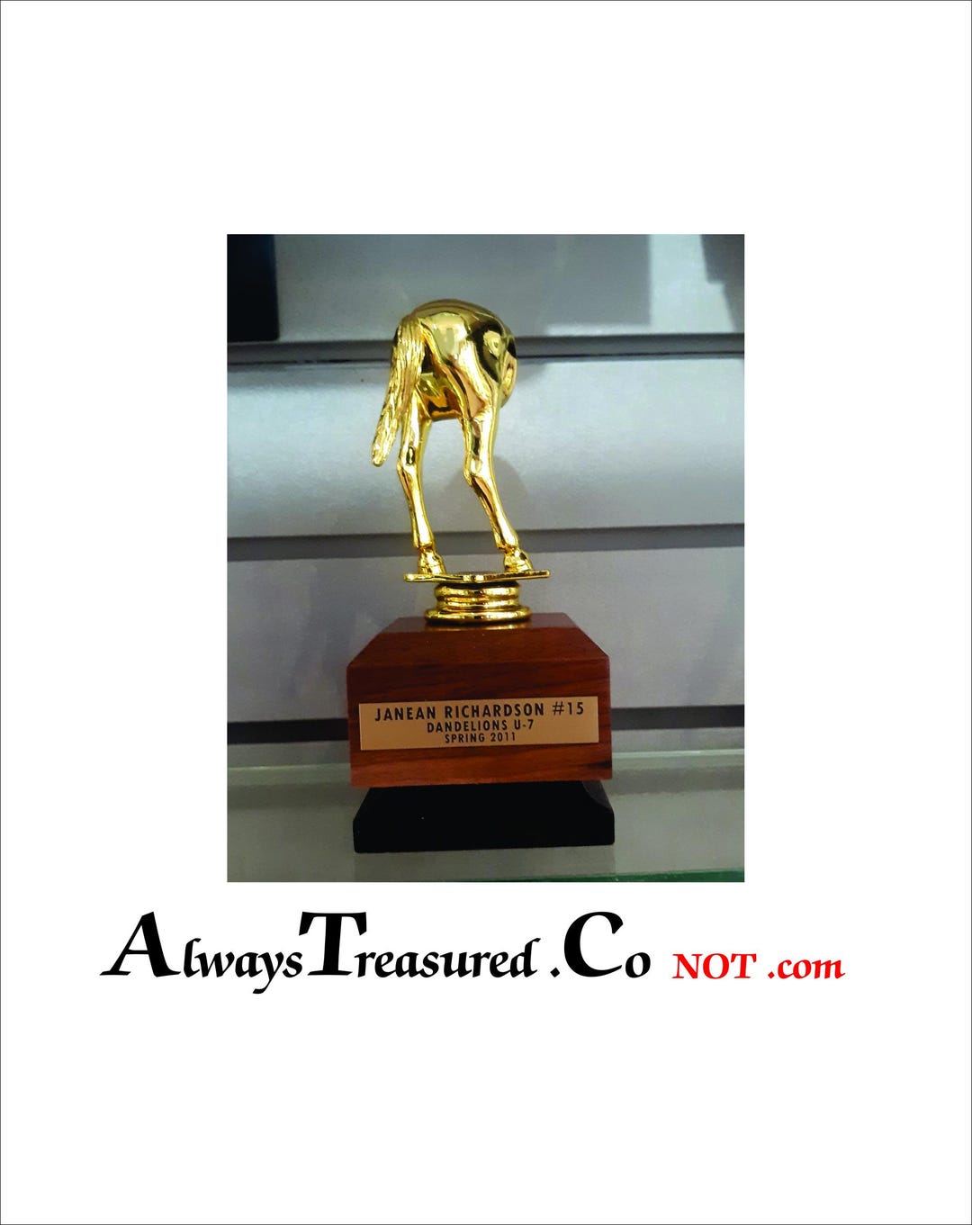 Last Place Award Bringing up the Rear Recognition Trophy Kick Ass Award ...