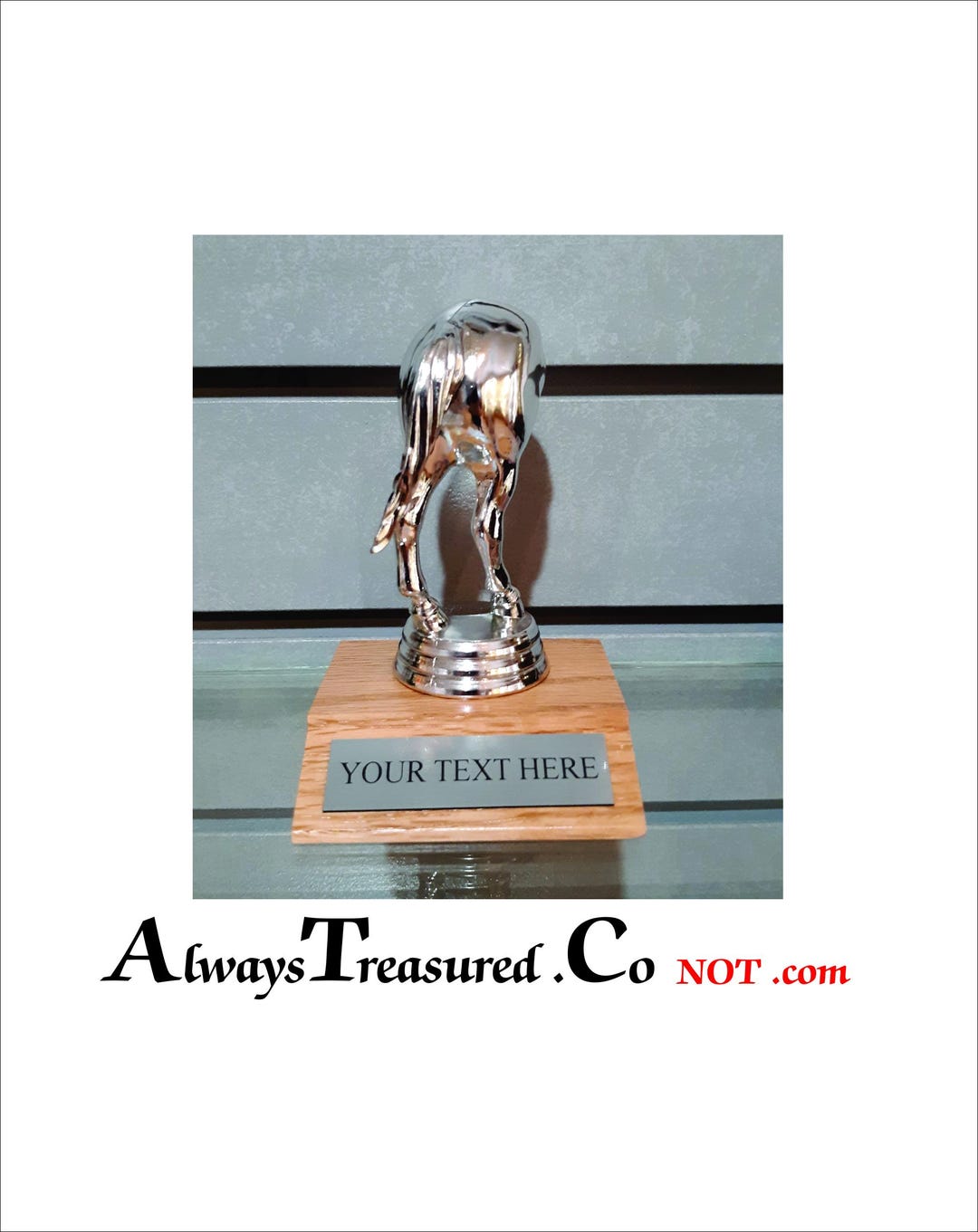 Last Place Award Bringing up the Rear Recognition Trophy Kick Ass Award ...