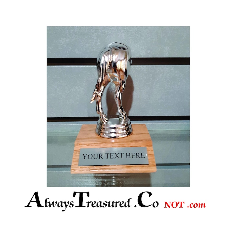 Dumbass Award - Etsy