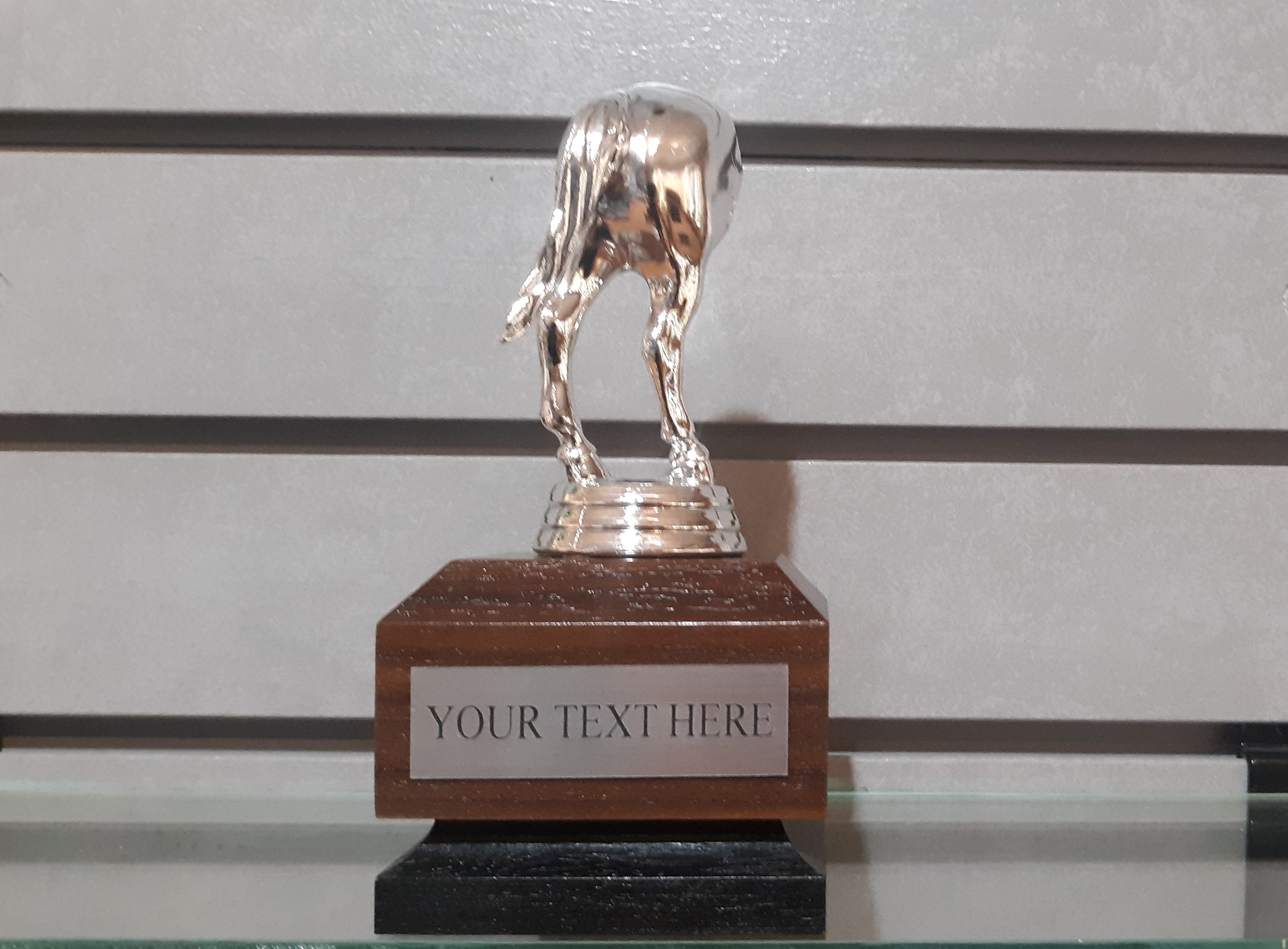 Collectibles Art & Collectibles Trophies & Awards Last place award ...