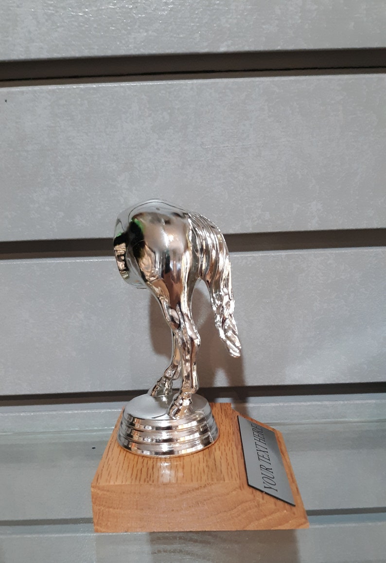 Collectibles Art & Collectibles Trophies & Awards Last place award ...