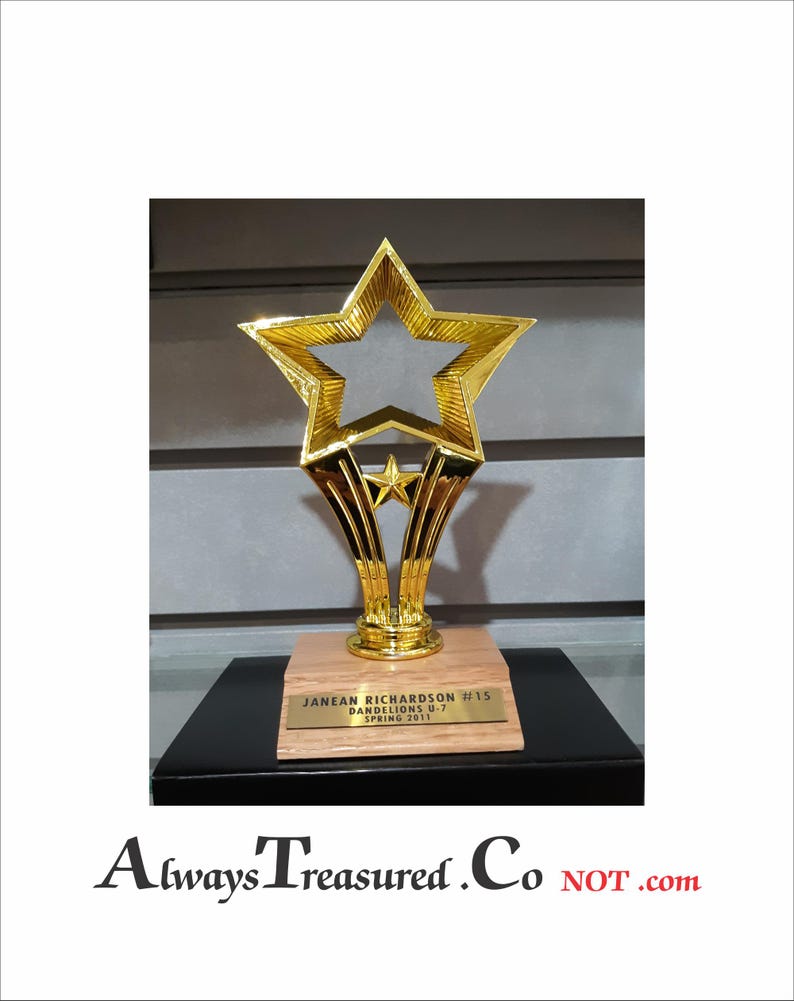Shooting Star Award, Shinning Outstanding, Employee of the Month, First ...