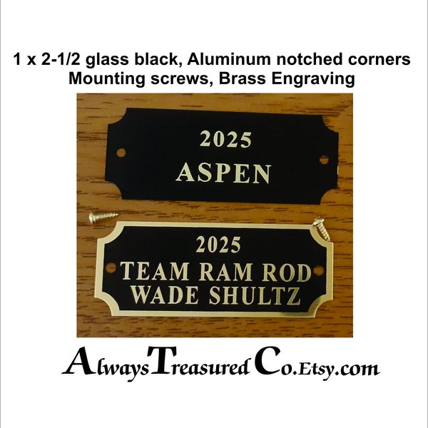 Blank Trophy Plate - Etsy