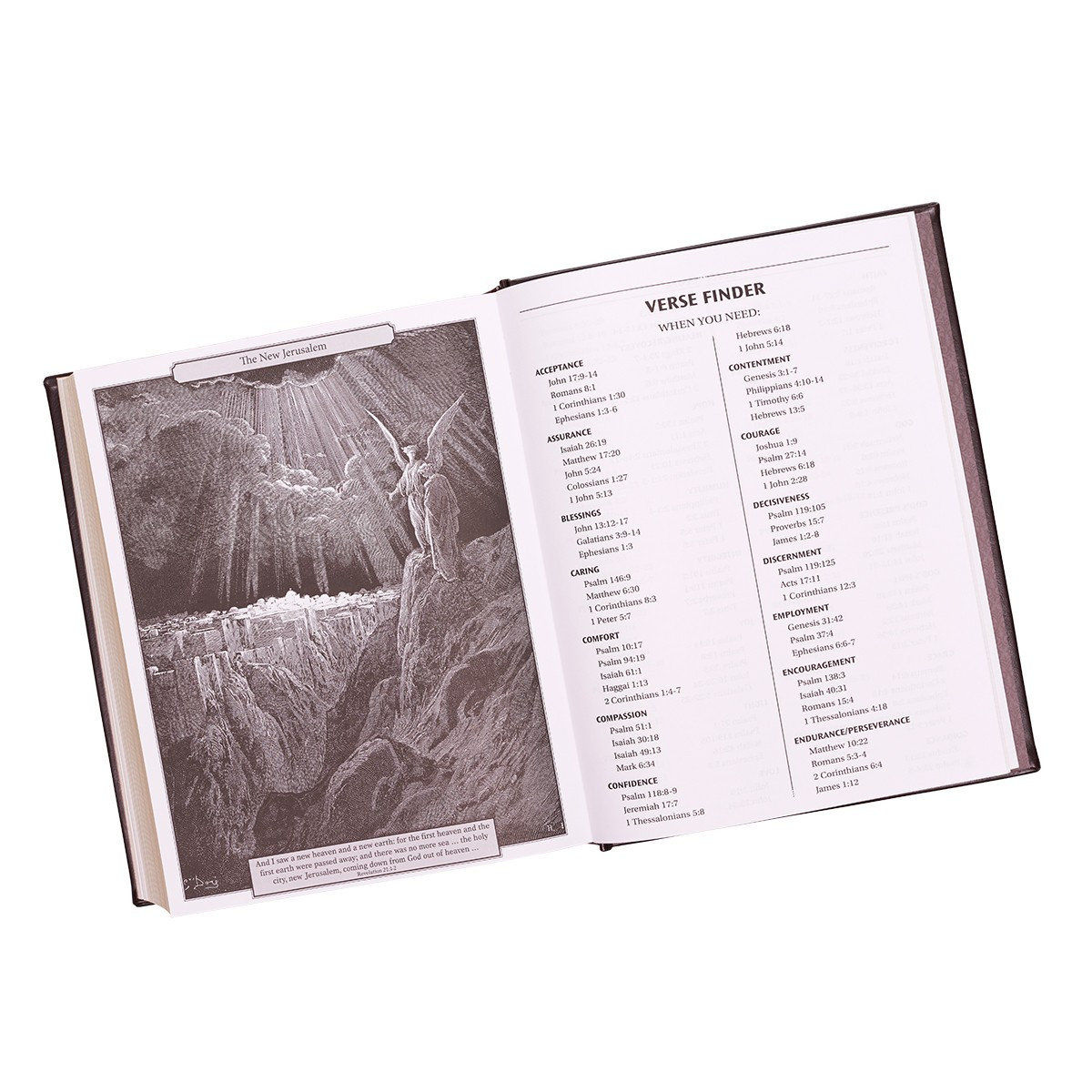 The Holy Bible King James Version Gustave Dore Illustrated Family Bible ...