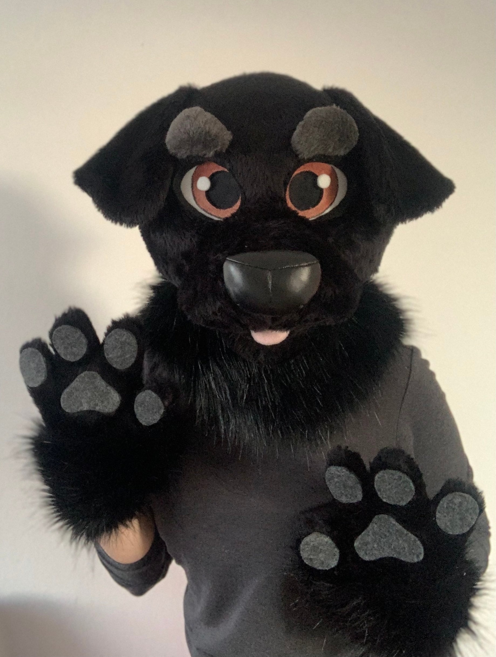 Black Labrador Fursuit Fursuit Partial Premade Dog Furry - Etsy UK