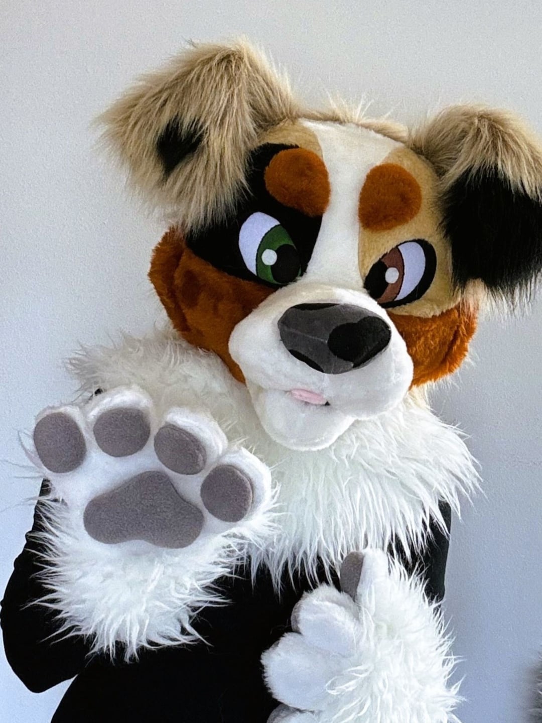 Premade Dog Fursuit Head Hand Paws, Beige Australian Shepherd Fursuit ...