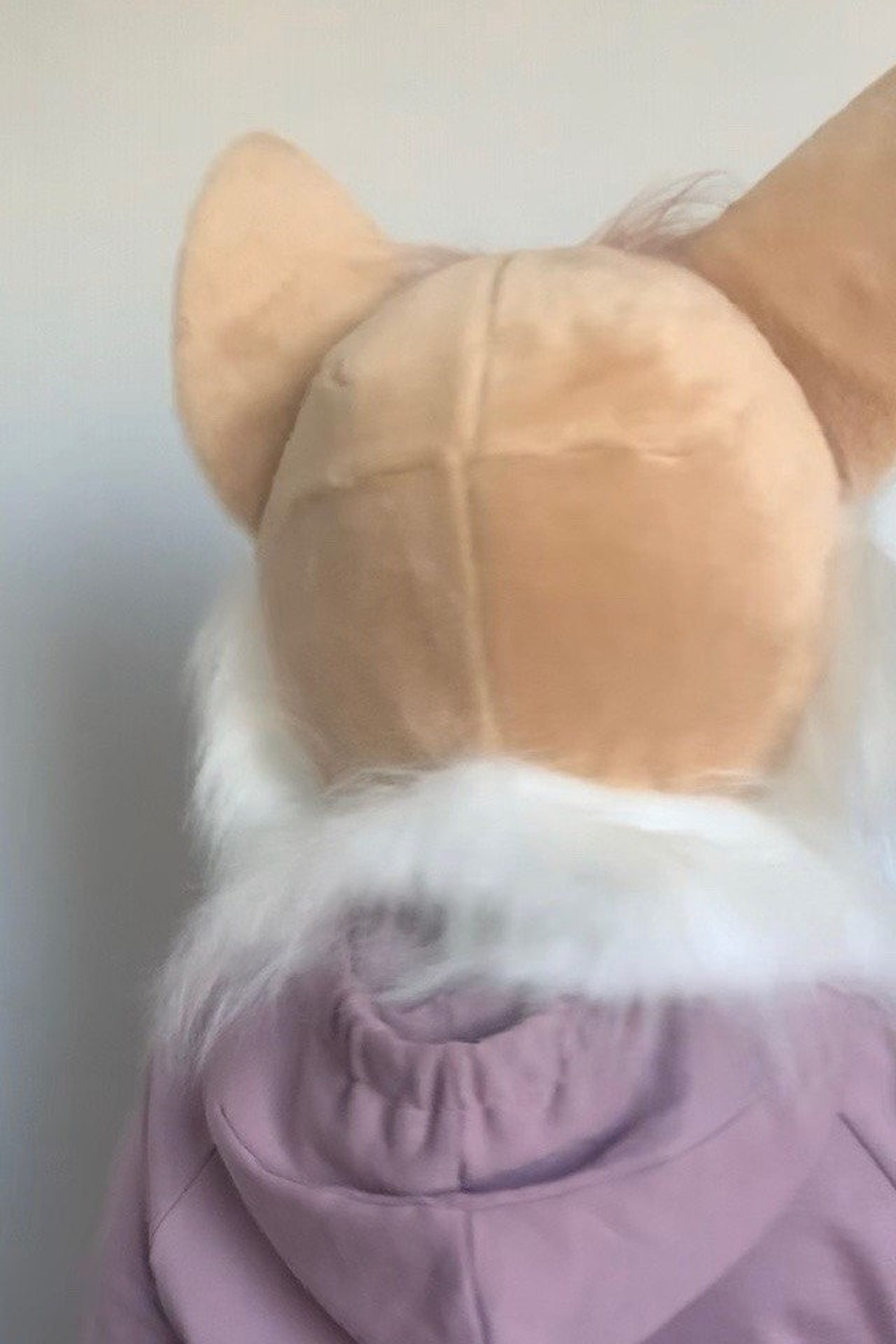 Fennec Fox Fursuit Partial Fox Fursuit Head Premade Fursuit - Etsy