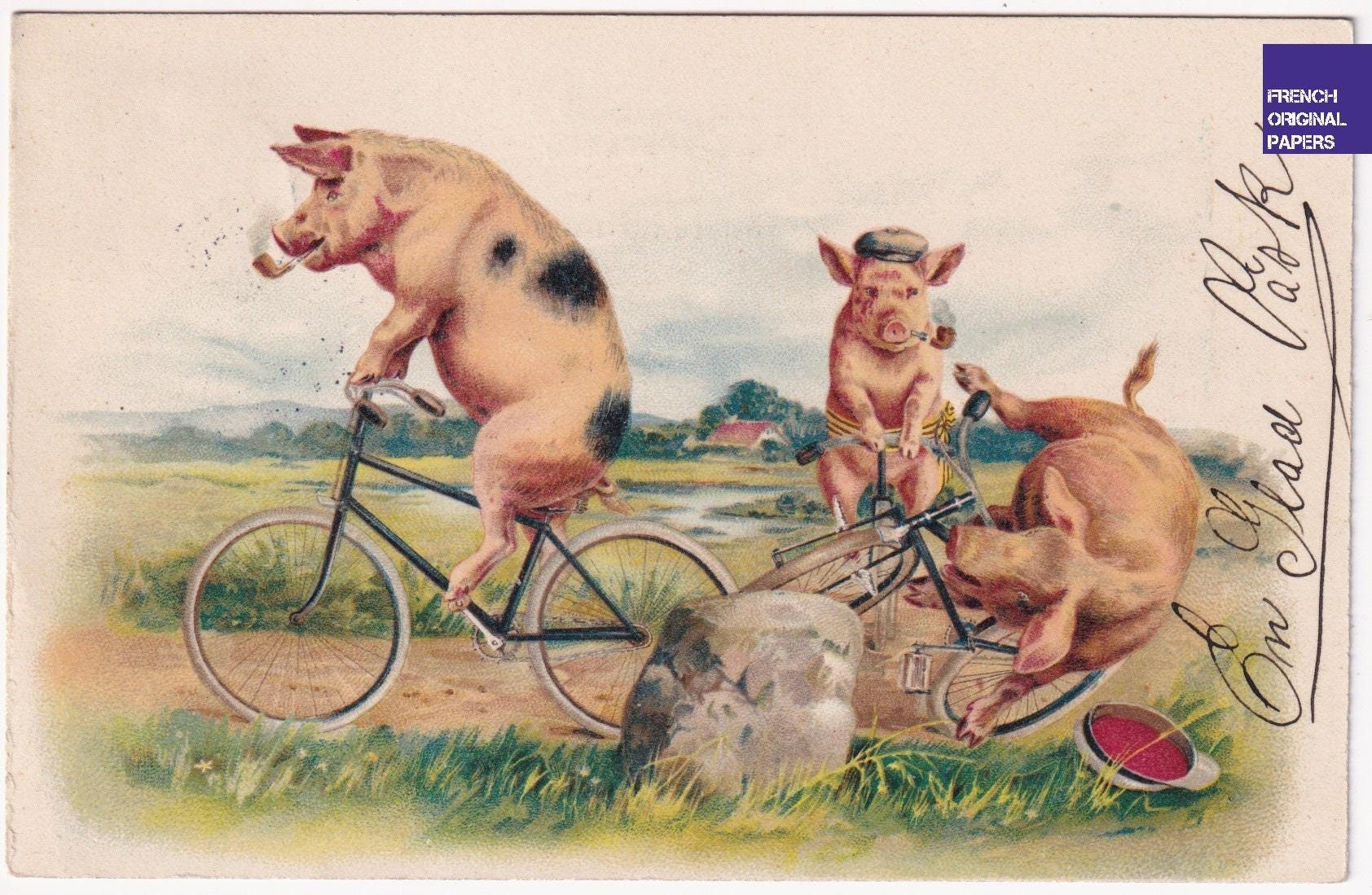 Humanized Pigs Are Riding Bikes / Easter Wishes 1905 Postcard Sweden ...