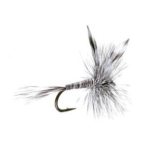 Classic Dry Fly Assortment - the Fly Fishing Place Basics Collection ...