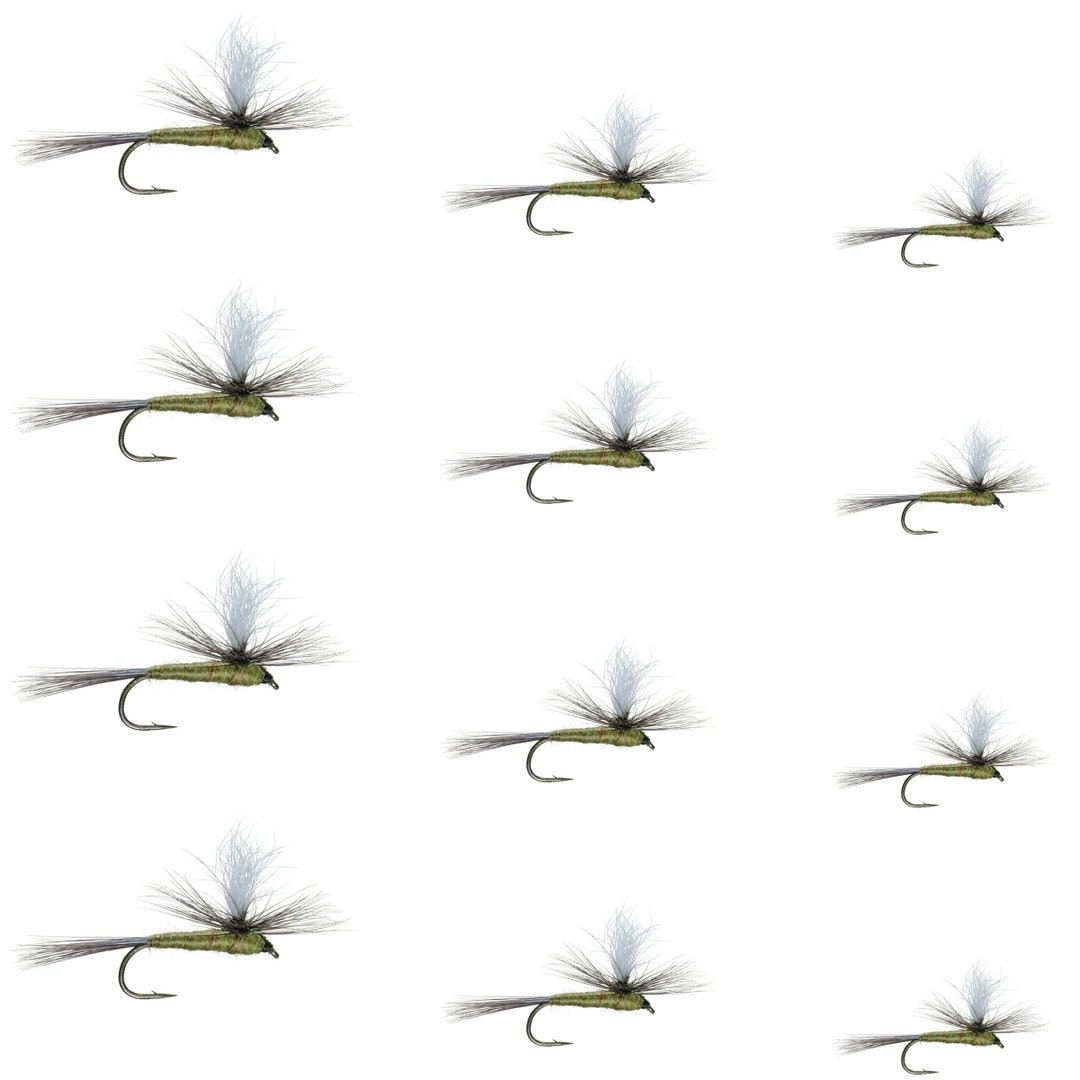 1 Dozen Assortment Parachute BWO Sizes 14, 16, 18, 20 Blue Winged Olive ...