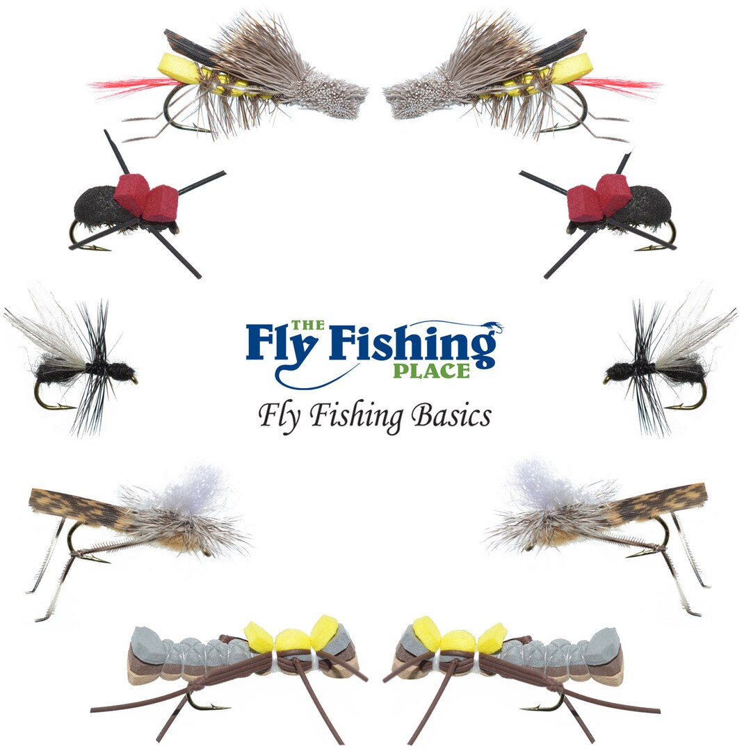 Terrestrials Dry Fly Assortment - Fly Fishing Basics - 10 Ant, Hopper ...