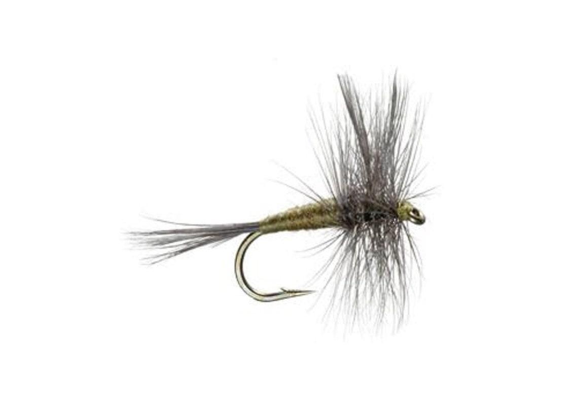 Classic Dry Fly Assortment the Fly Fishing Place Basics - Etsy
