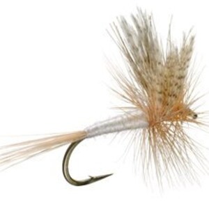Classic Dry Fly Assortment - the Fly Fishing Place Basics Collection ...