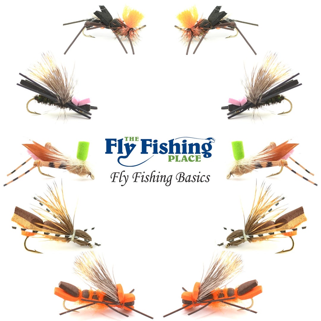 Foam Hoppers Dry Fly Assortment #2-10 Dry Fishing Grasshopper Flies - 5 ...