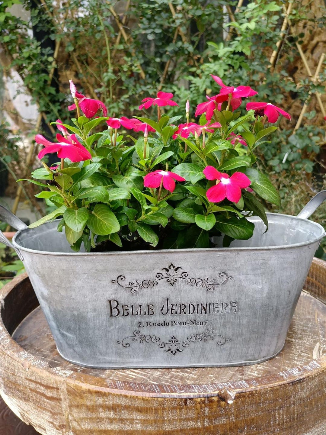 Farmhouse Planter Tin Flower Pot / Outdoor Decor / Metal Planter ...