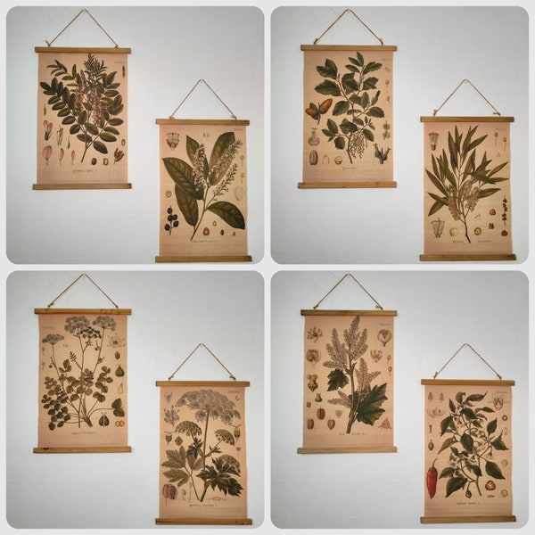 Botanical Canvas - Etsy
