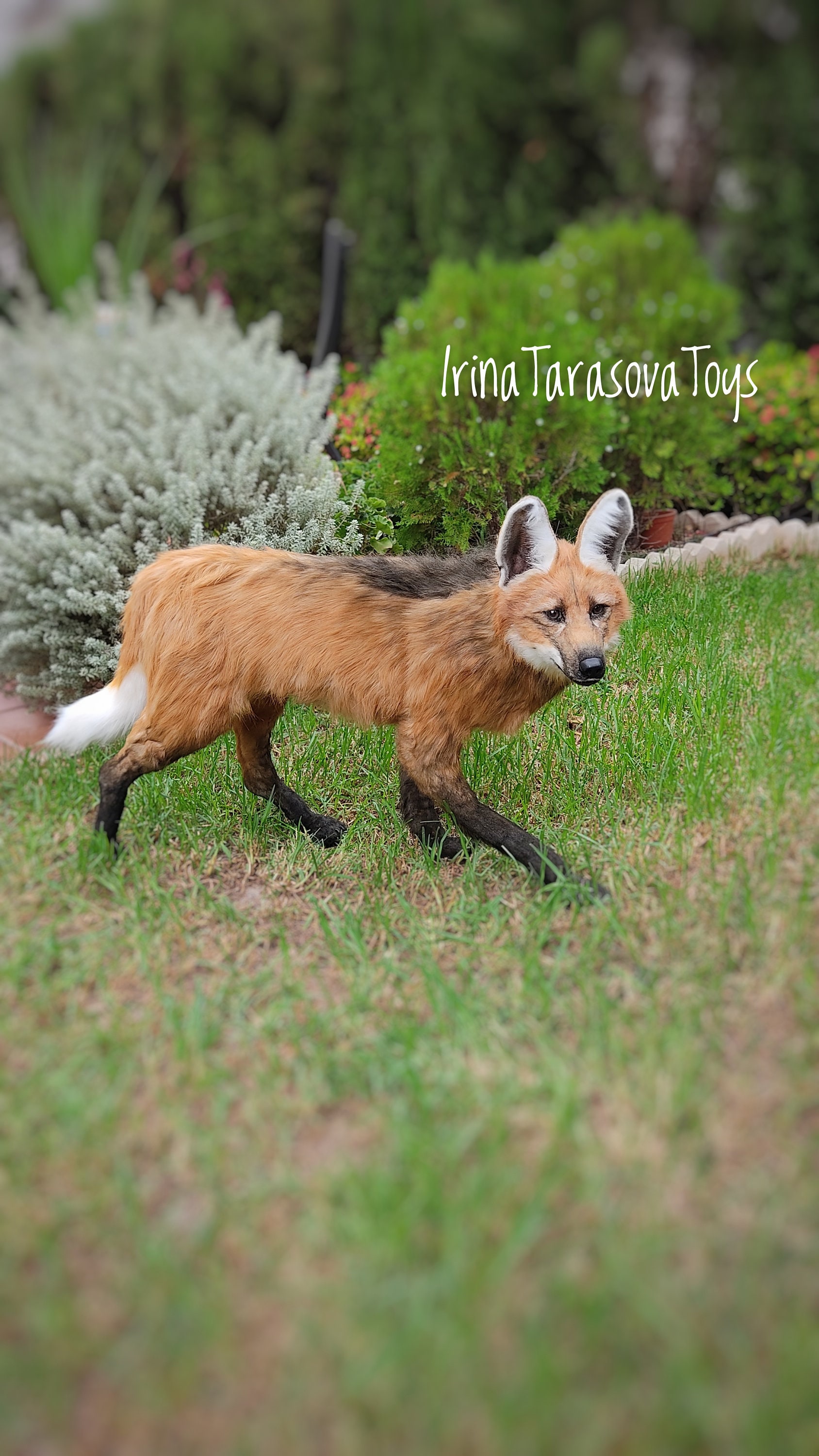 Maned Wolf Realistic Toy Stuffed Animal Replica Wild Golden Dog Faux ...