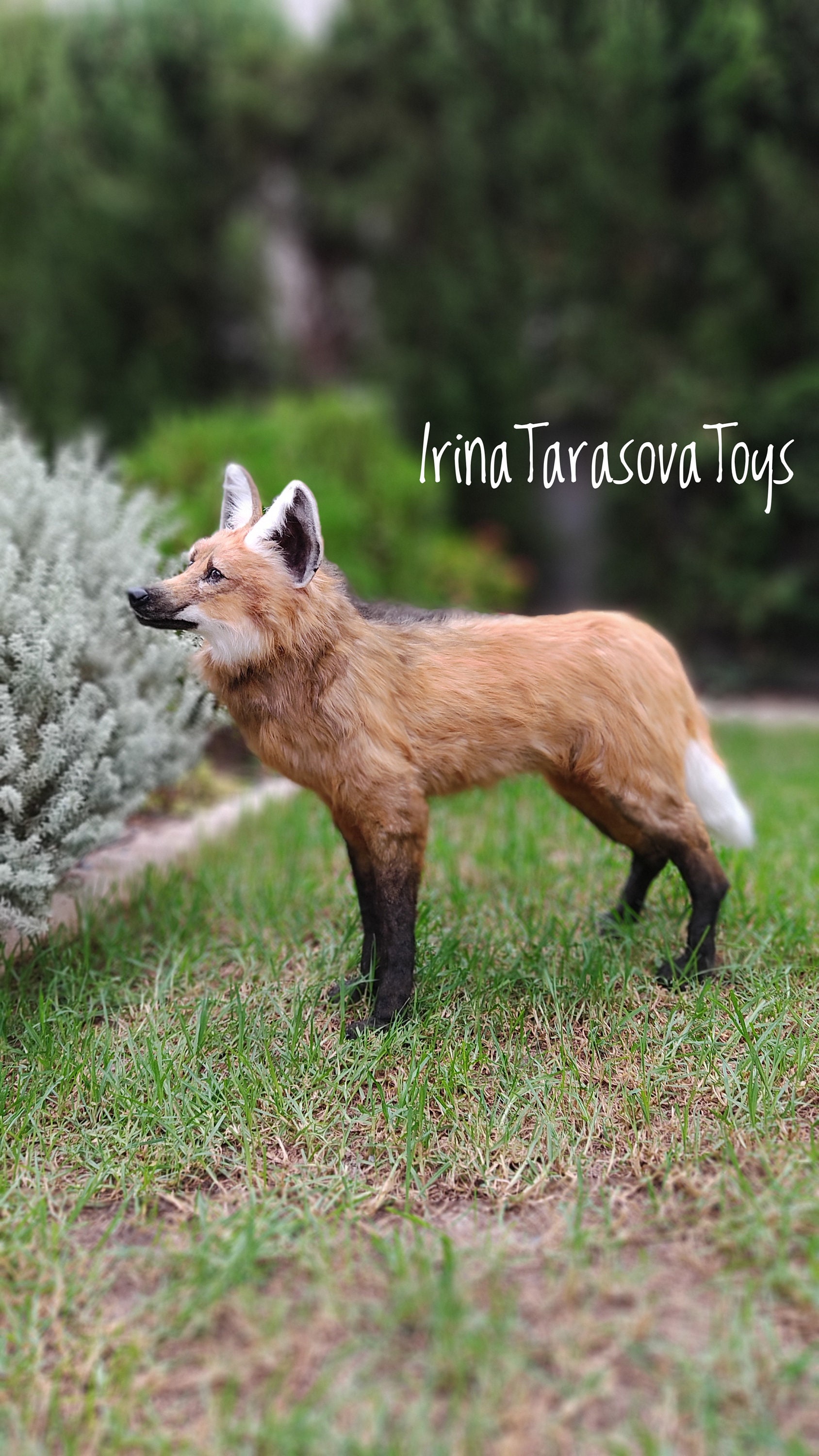 Maned Wolf Realistic Toy Stuffed Animal Replica Wild Golden Dog Faux ...