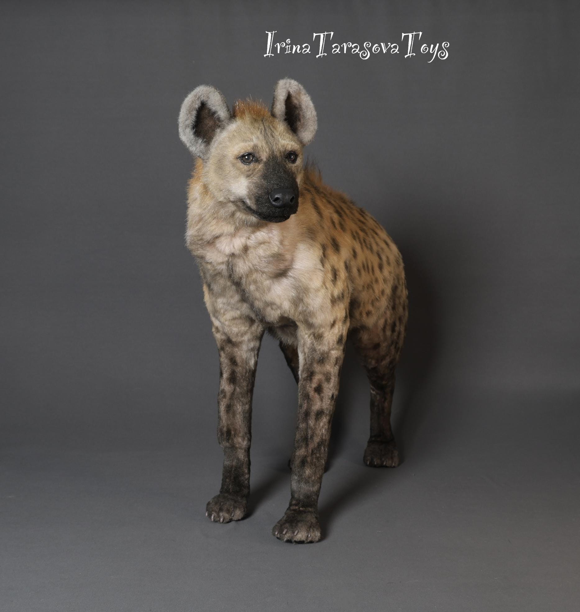 Realistic Stuffed Animal Hyena Plush Faux Taxidermy Decor Home Art Toy ...