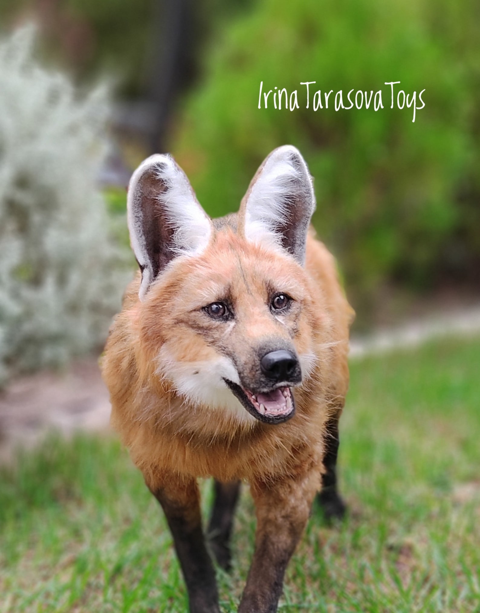 Maned Wolf Realistic Toy Stuffed Animal Replica Wild Golden Dog Faux ...