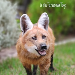 Maned Wolf Realistic Toy Stuffed Animal Replica Wild Golden Dog Faux ...