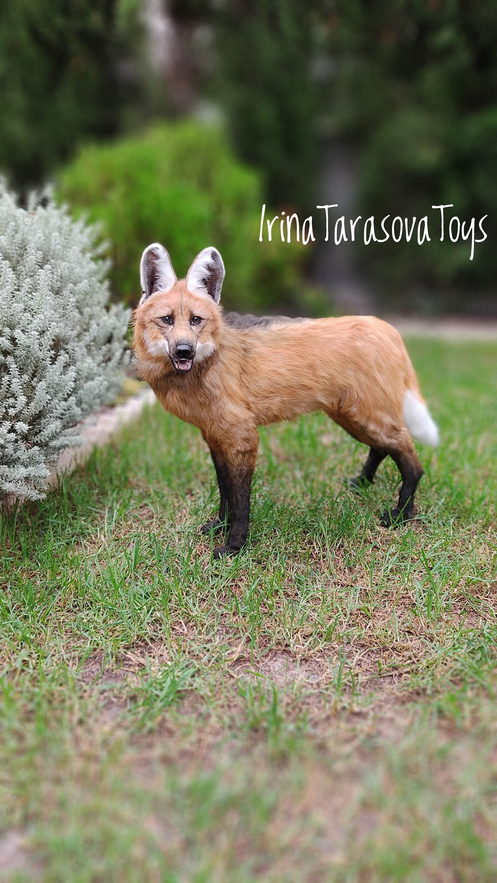 Maned Wolf Realistic Toy Stuffed Animal Replica Wild Golden Dog Faux ...