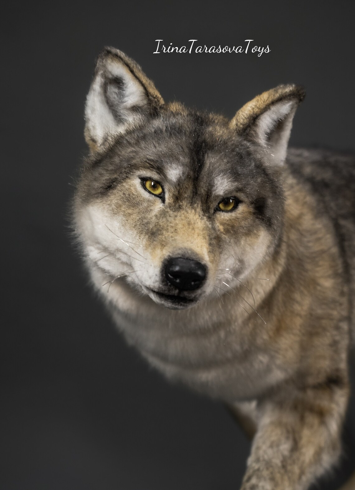 Wolf Realistic Animals Toy OOAK Art Doll Copy Wild Dog Soft Sculpture ...