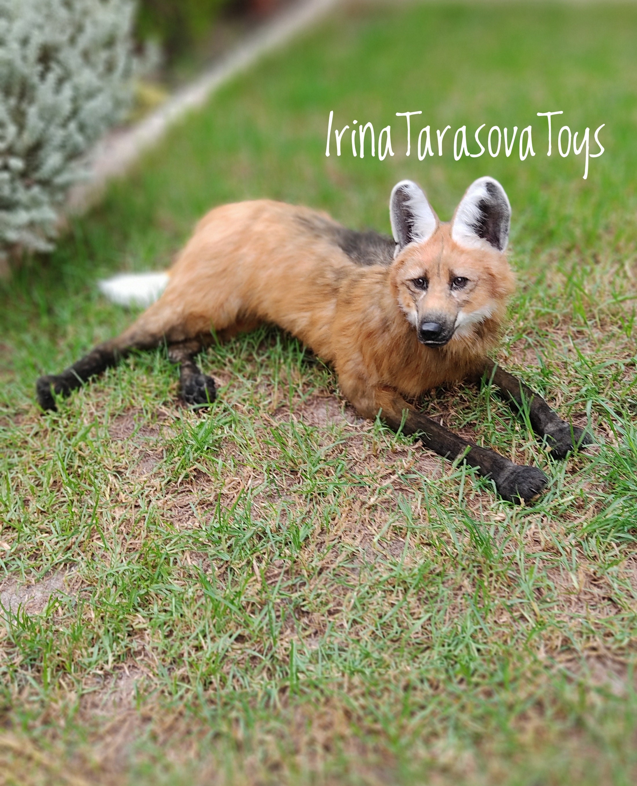Maned Wolf Realistic Toy Stuffed Animal Replica Wild Golden Dog Faux ...
