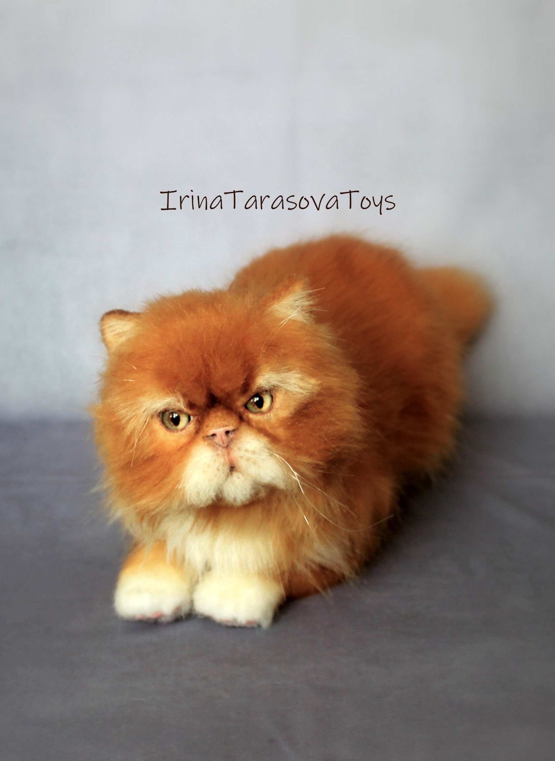 Ginger Realistic Cat Toy Persian Stuffed Animal Taxidermy Decor Home ...