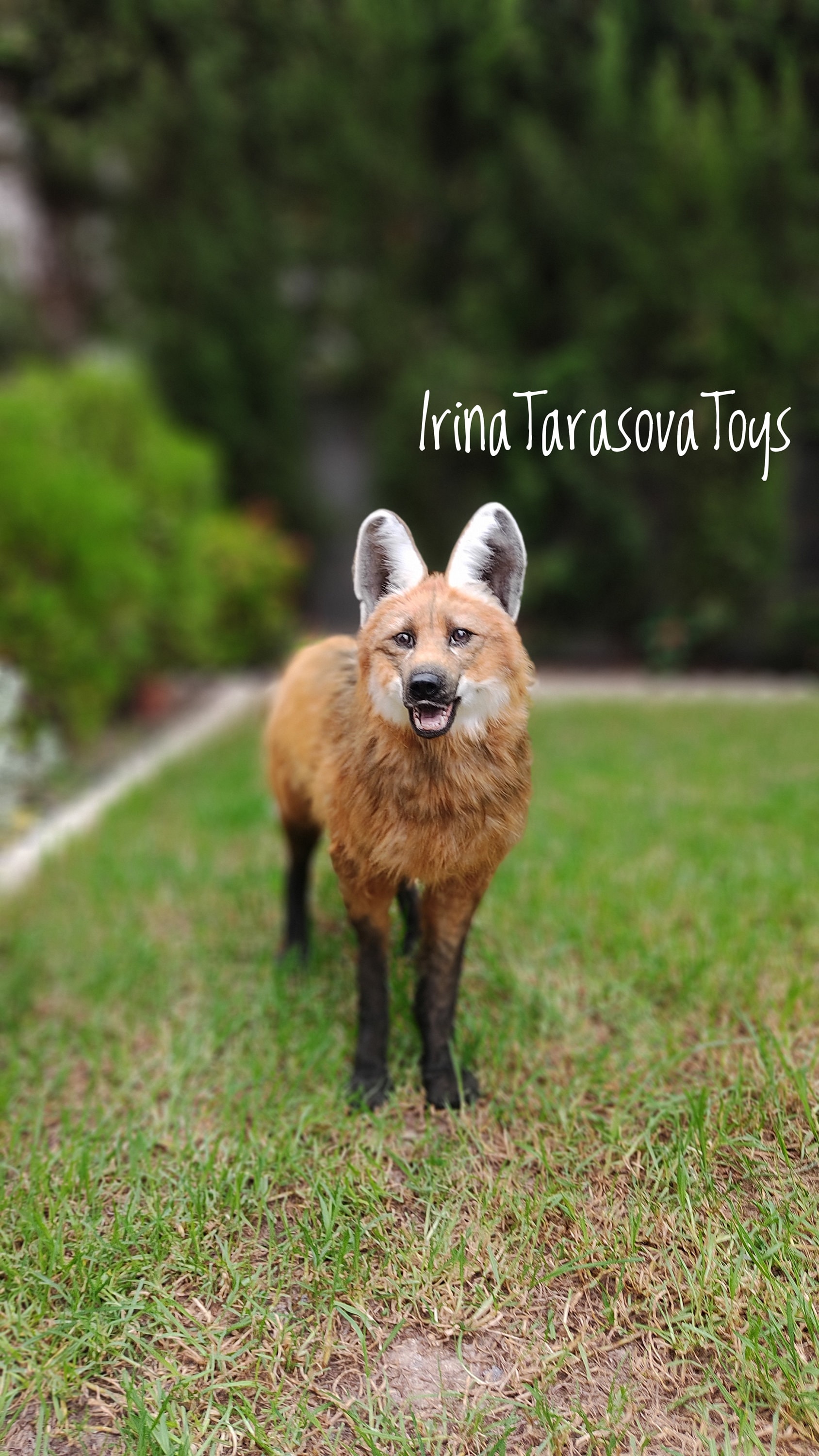 Maned Wolf Realistic Toy Stuffed Animal Replica Wild Golden Dog Faux ...