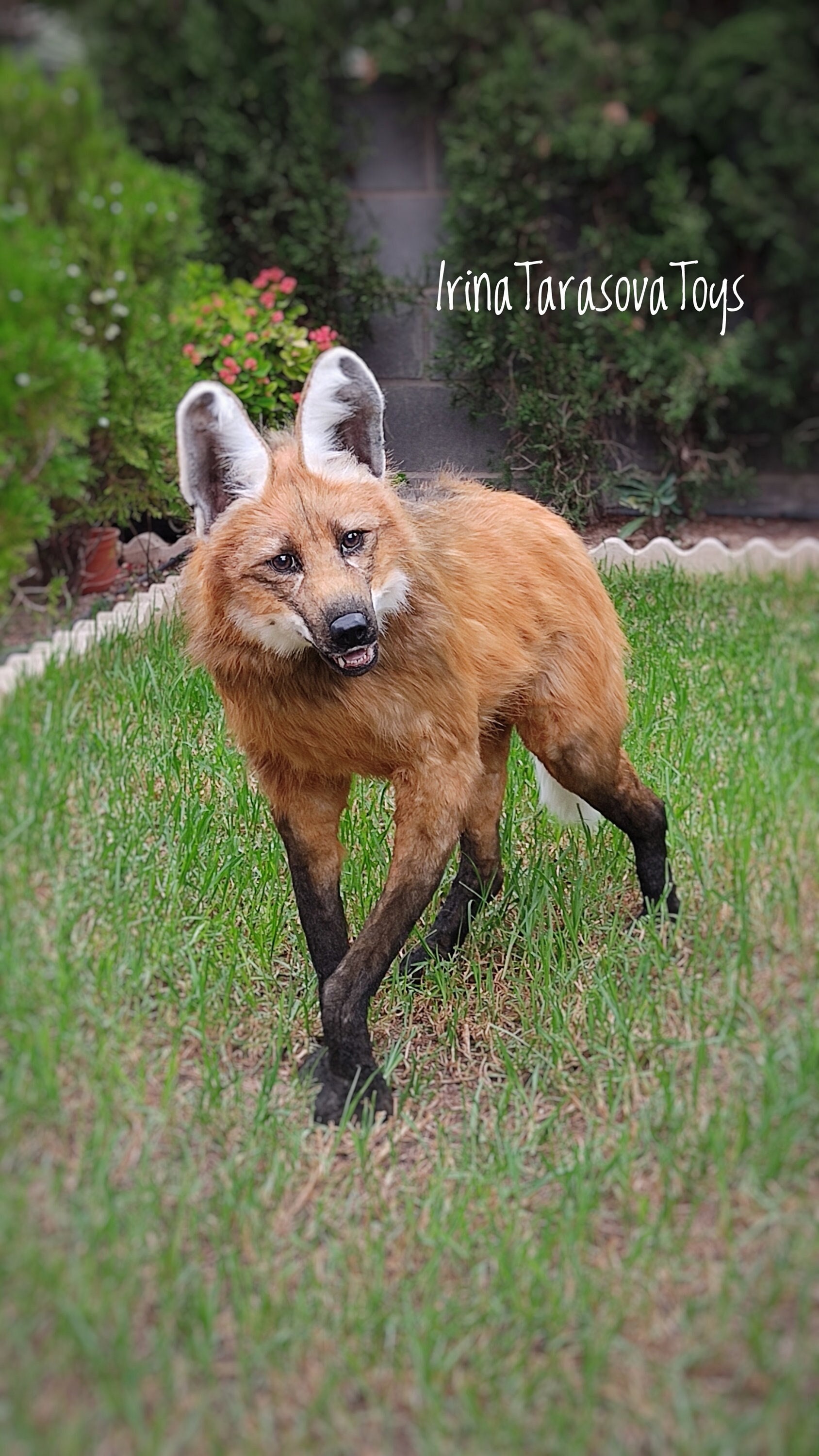 Maned Wolf Realistic Toy Stuffed Animal Replica Wild Golden Dog Faux ...