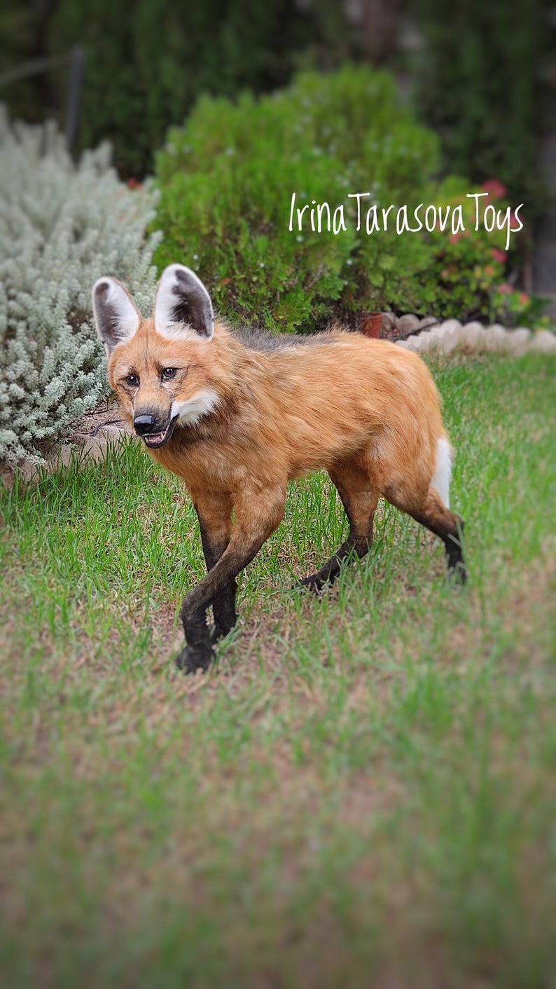 Maned Wolf Realistic Toy Stuffed Animal Replica Wild Golden Dog Faux ...