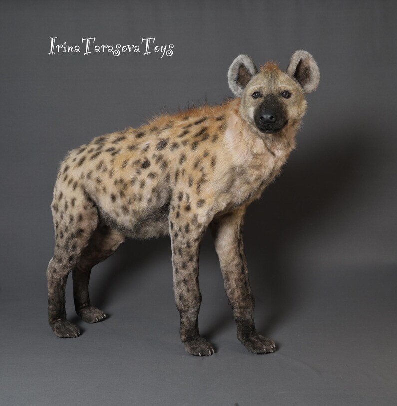 Realistic Stuffed Animal Hyena Plush Faux Taxidermy Decor Home Art Toy ...
