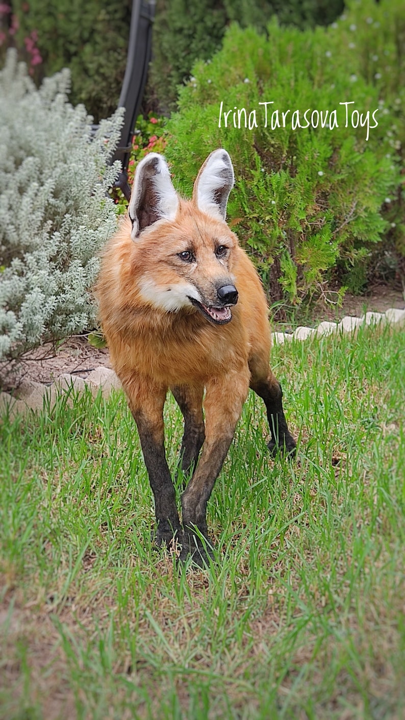 Maned Wolf Realistic Toy Stuffed Animal Replica Wild Golden Dog Faux ...
