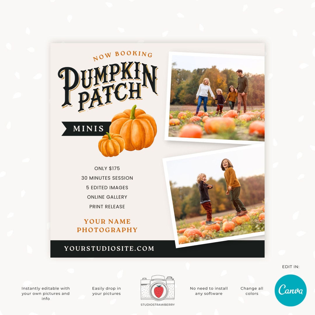 Editable Pumpkin Patch Mini Sessions Template Customizable Canva Design ...