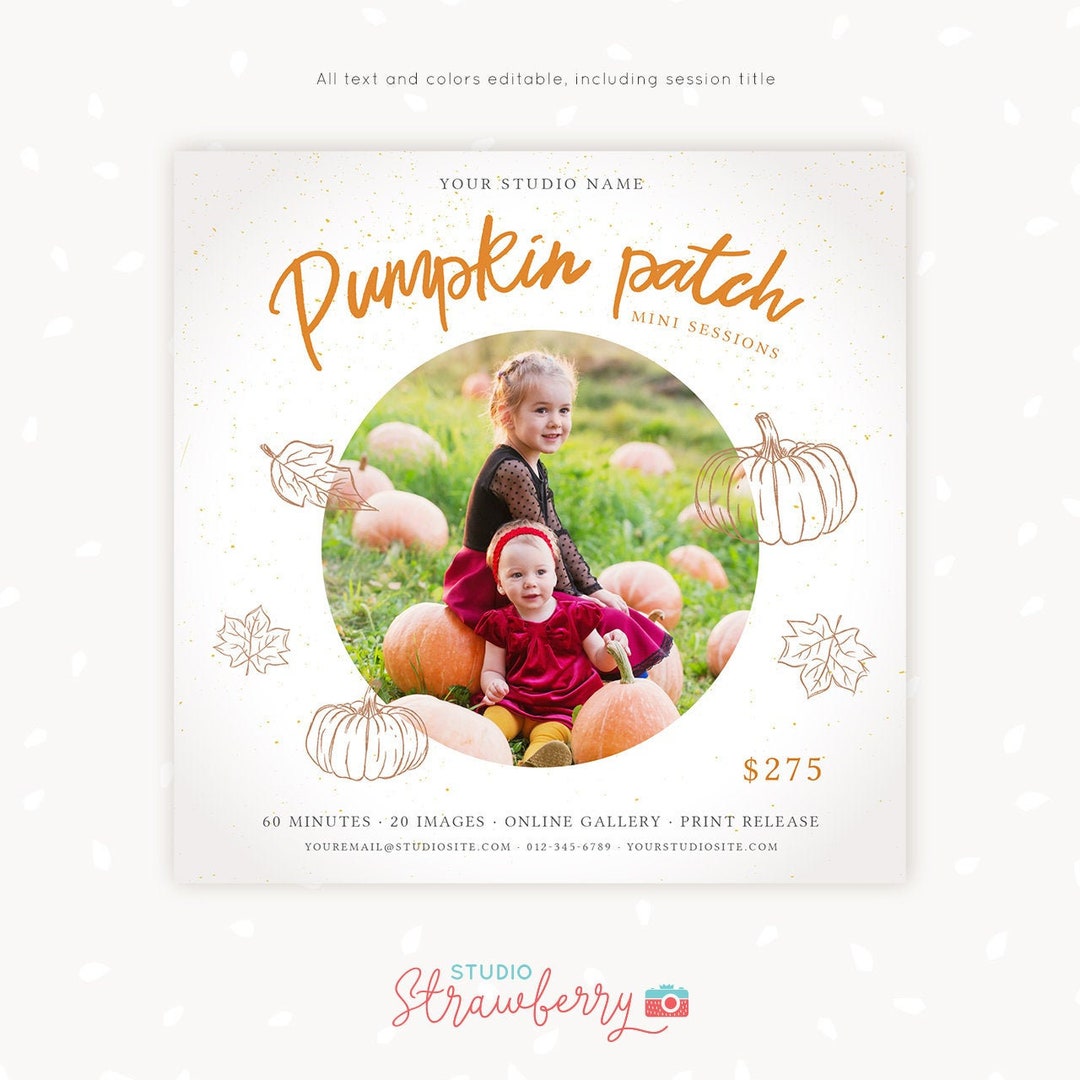 Pumpkin Mini Sessions, Pumpkin Patch Mini Session, Pumpkin Stand, Fall ...