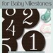 Baby Number Decals 1-12 for Monthly Milestone Celebration Photos Number ...