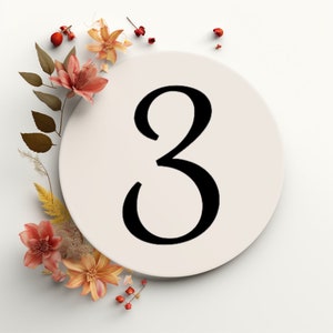 Baby Number Decals (1-12) for Monthly Milestone Celebration Photos ...