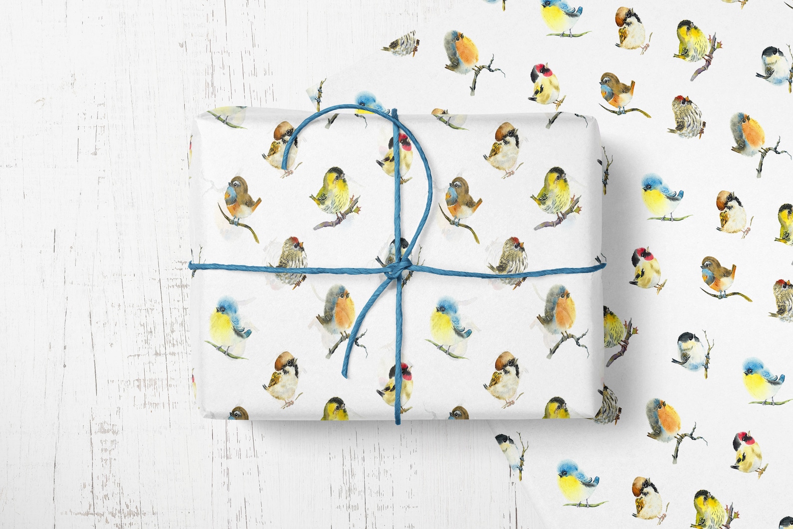 Bird Wrapping Paper Bird Lovers Gift Wrap a Bird Feeder - Etsy